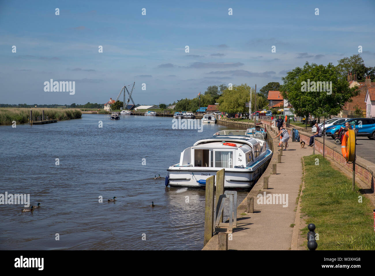 Reedham hi-res stock photography and images - Alamy