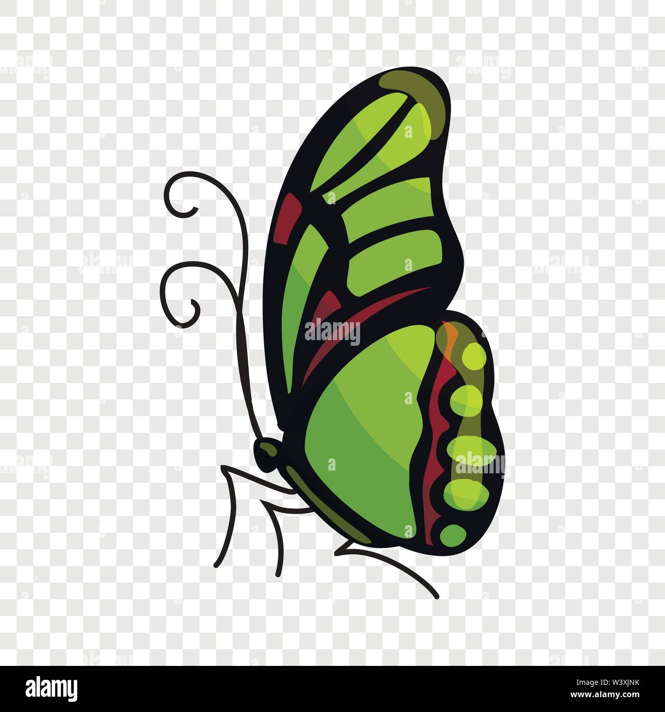 Green butterfly icon, cartoon style Stock Vector Image & Art - Alamy