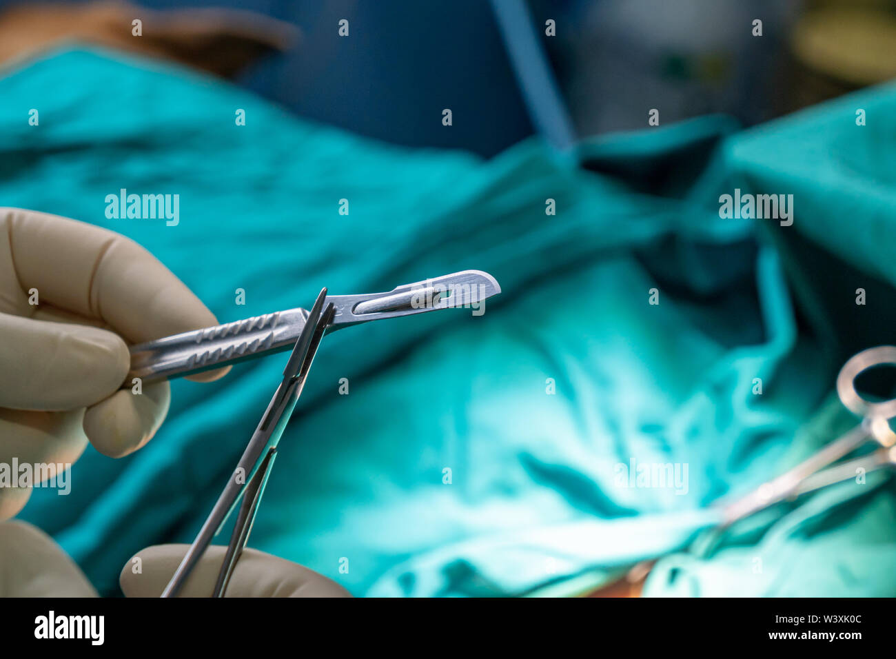 Veterinarian placing a scalpel blade on his handle Stock Photo - Alamy