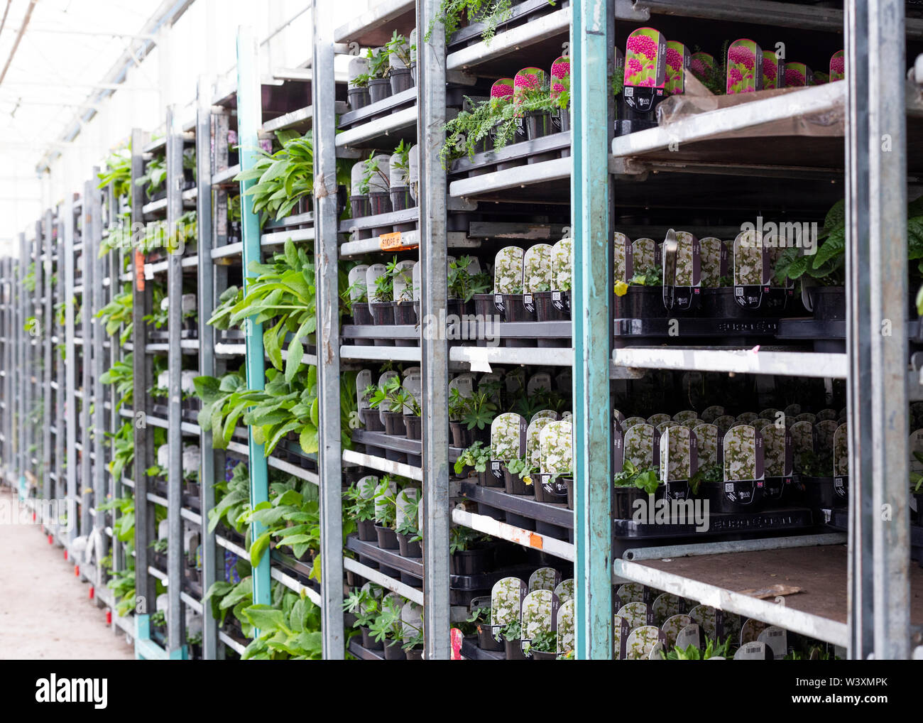 Ready to plant potted plants hi-res stock photography and images - Alamy