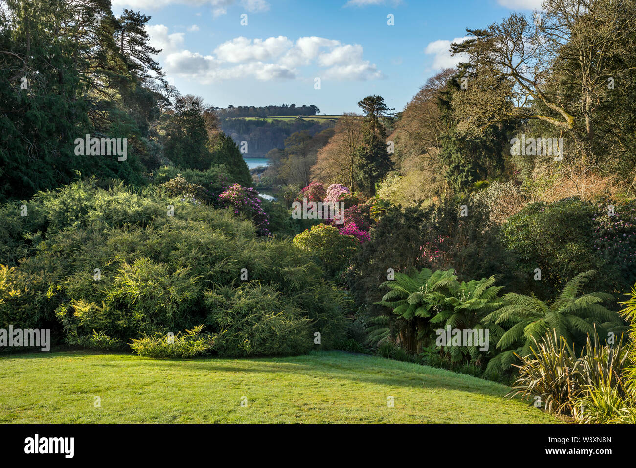 Trebah Garden; Spring; Cornwall; UK Stock Photo - Alamy