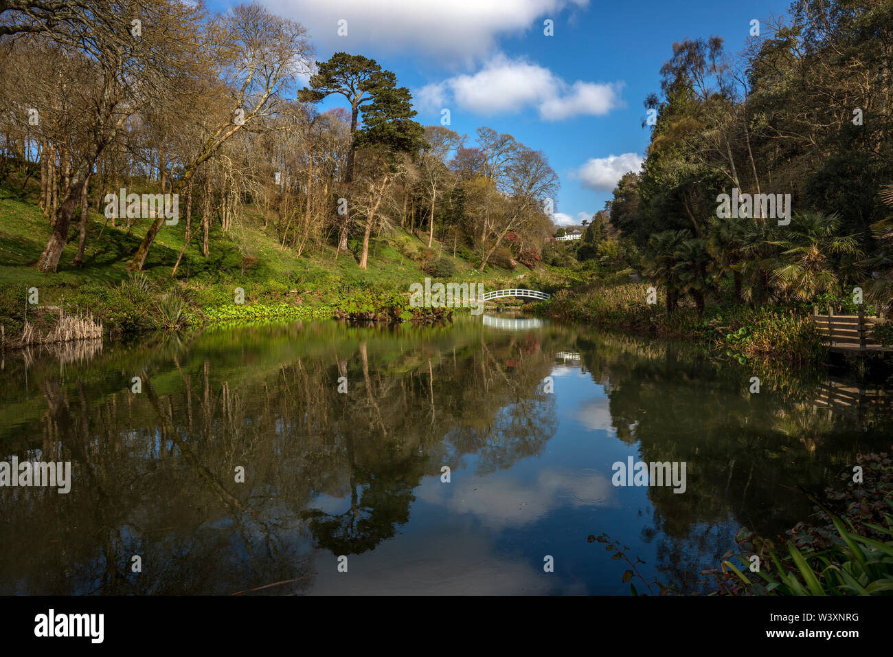 Trebah Garden; Spring; Cornwall; UK Stock Photo - Alamy