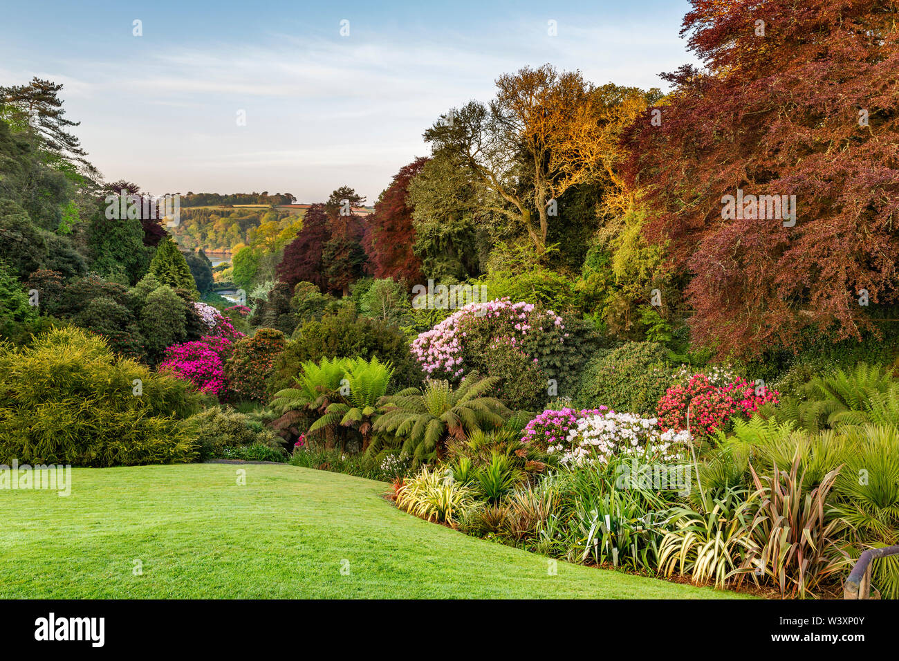 Trebah Garden; Spring; Cornwall; UK Stock Photo - Alamy