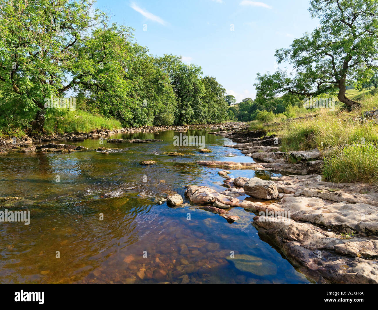 A tranquil late afternoon in summer beside the River Ribble as it flows ...