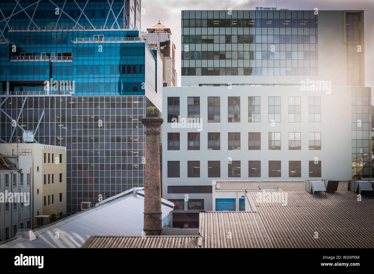 An incongruous glimpse of a green tree seedling grows from a smoke ...