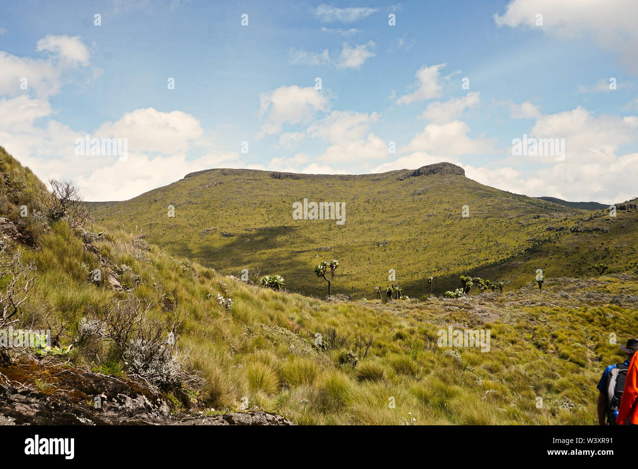 Open Grassy Mountain Slope Stock Photo - Alamy