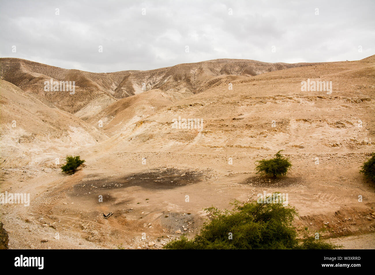 Wadi negev desert hi-res stock photography and images - Alamy