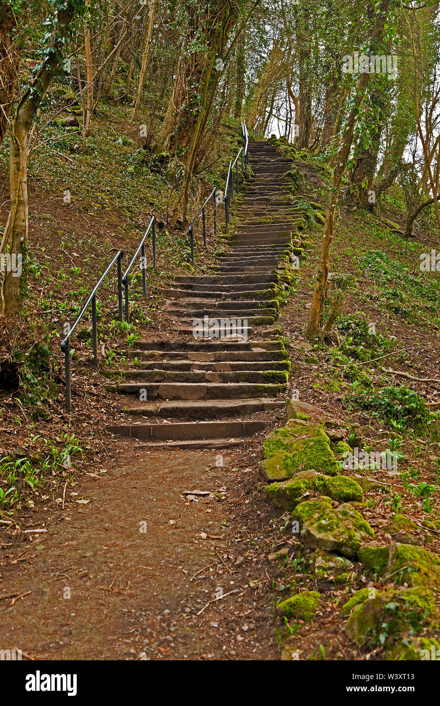 Steep stone steps climb a gorge cut by the Derwent at Matlock Bath ...