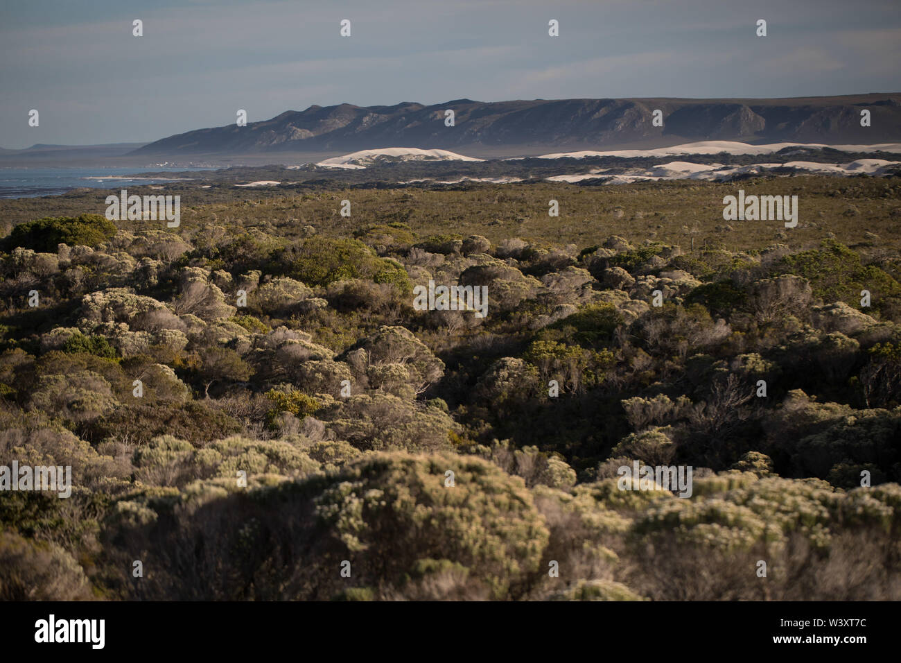 Western cape near cape agulhas hi-res stock photography and images - Alamy