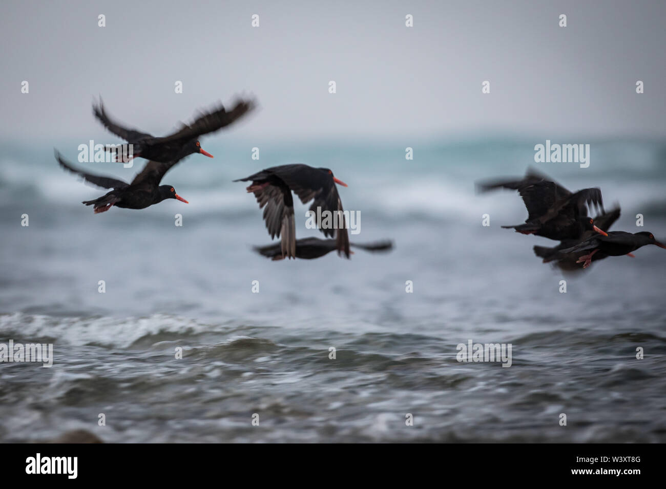 Cape Agulhas is the southern most point of Africa where the Indian and ...