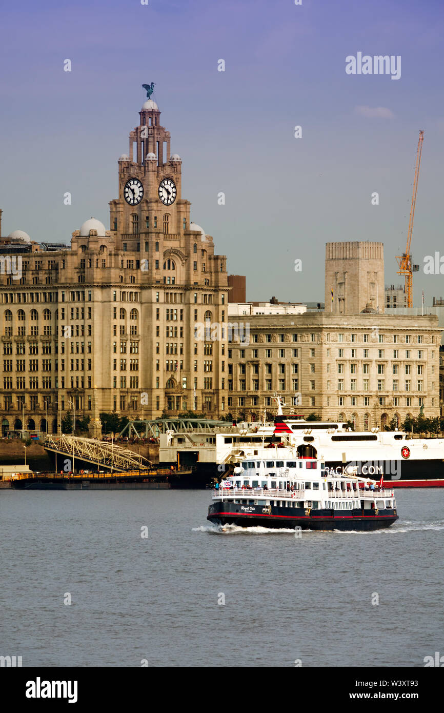 Mersey Ferry Royal Iris sails past the Royal Liver Buildings on the ...