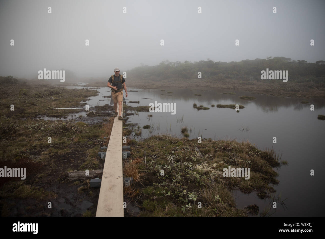 The wet and boggy Alakai Swamp Trail features many sections of wooden ...