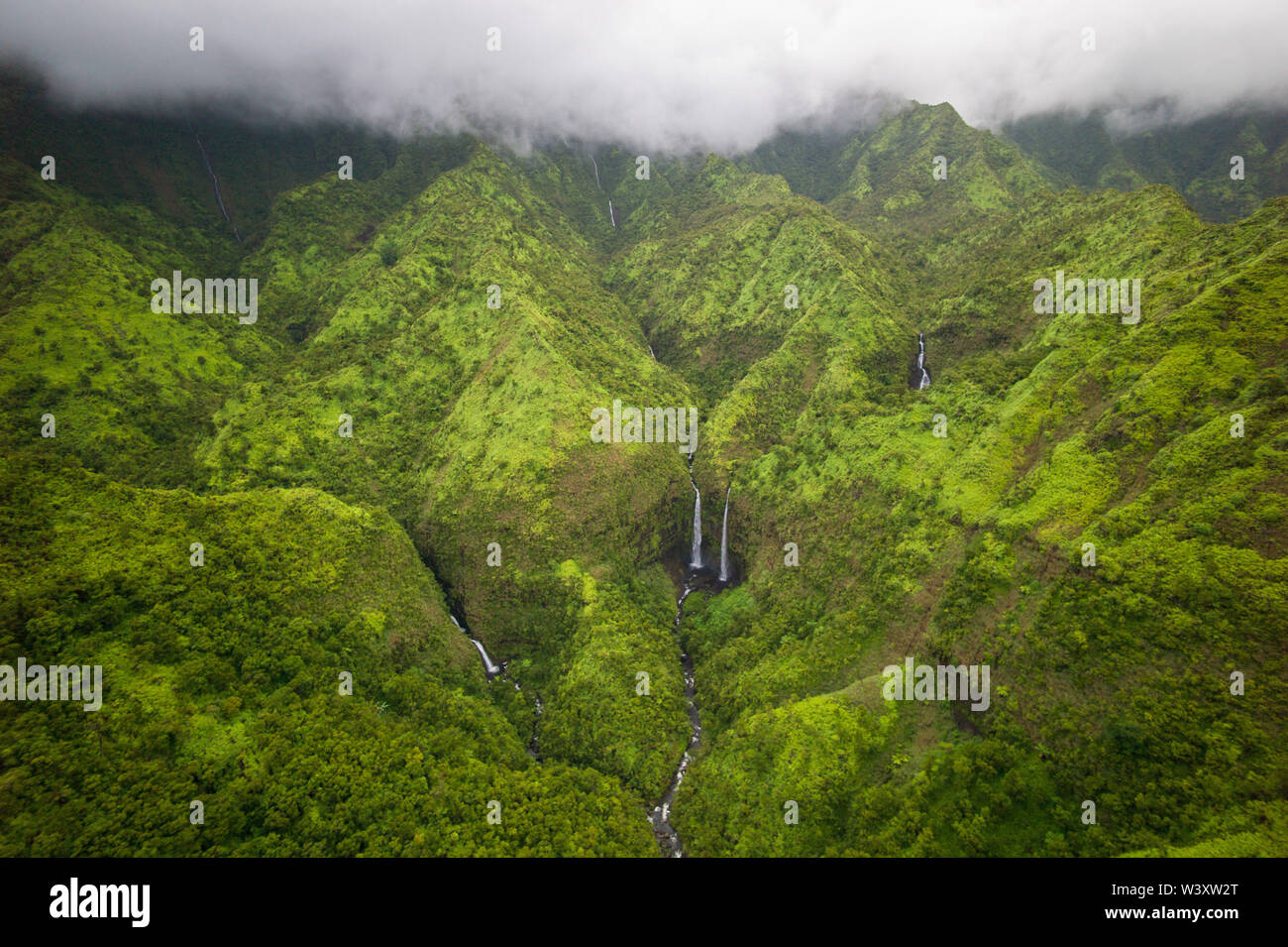 Mount Waialeale is one of the rainiest place on earth and Waialeale ...