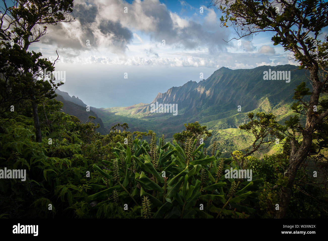 Kalalau Valley Lookout, Kokee State Park, Waimea Canyon is one of the ...