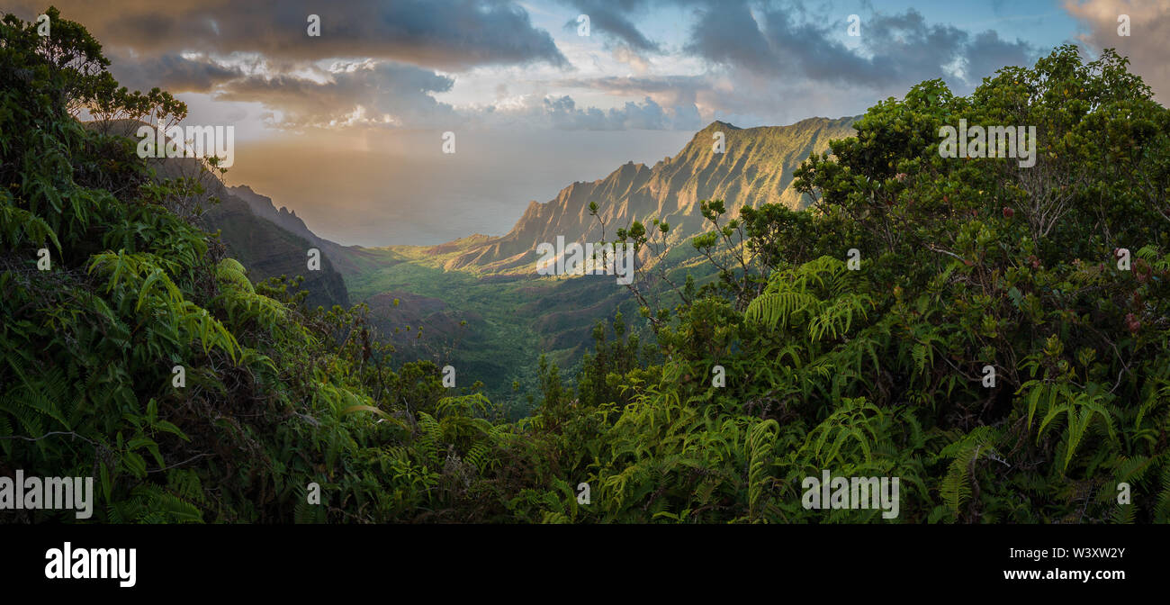 Kalalau Valley Lookout, Kokee State Park, Waimea Canyon is one of the ...