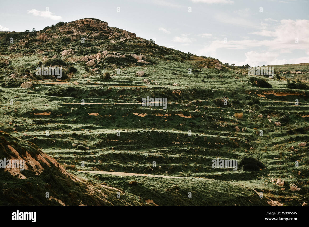 Greenary In Malta Stock Photo - Alamy
