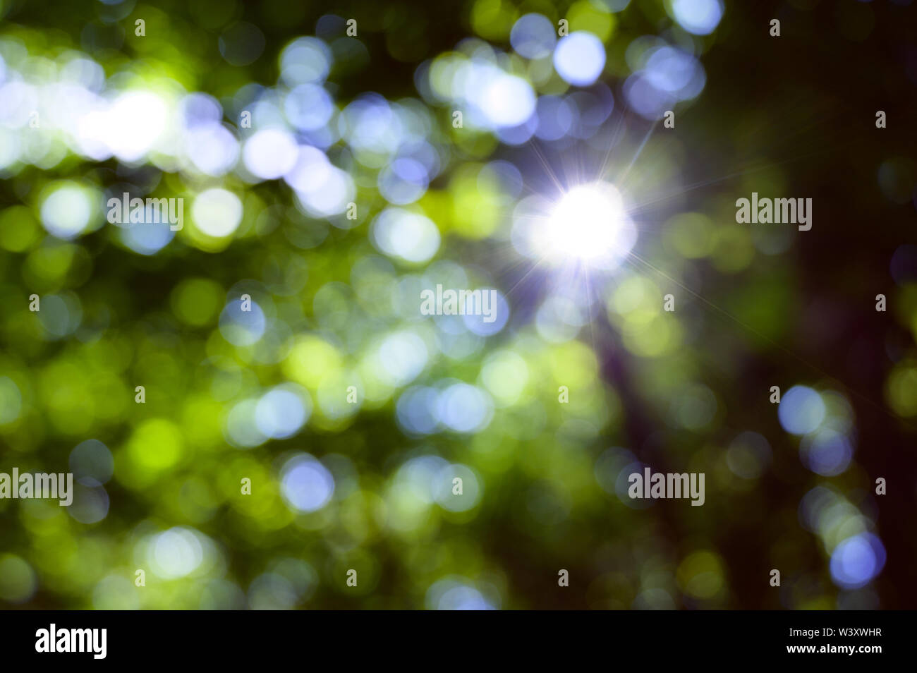 Light Color Background High Resolution Stock Photography and Images - Alamy