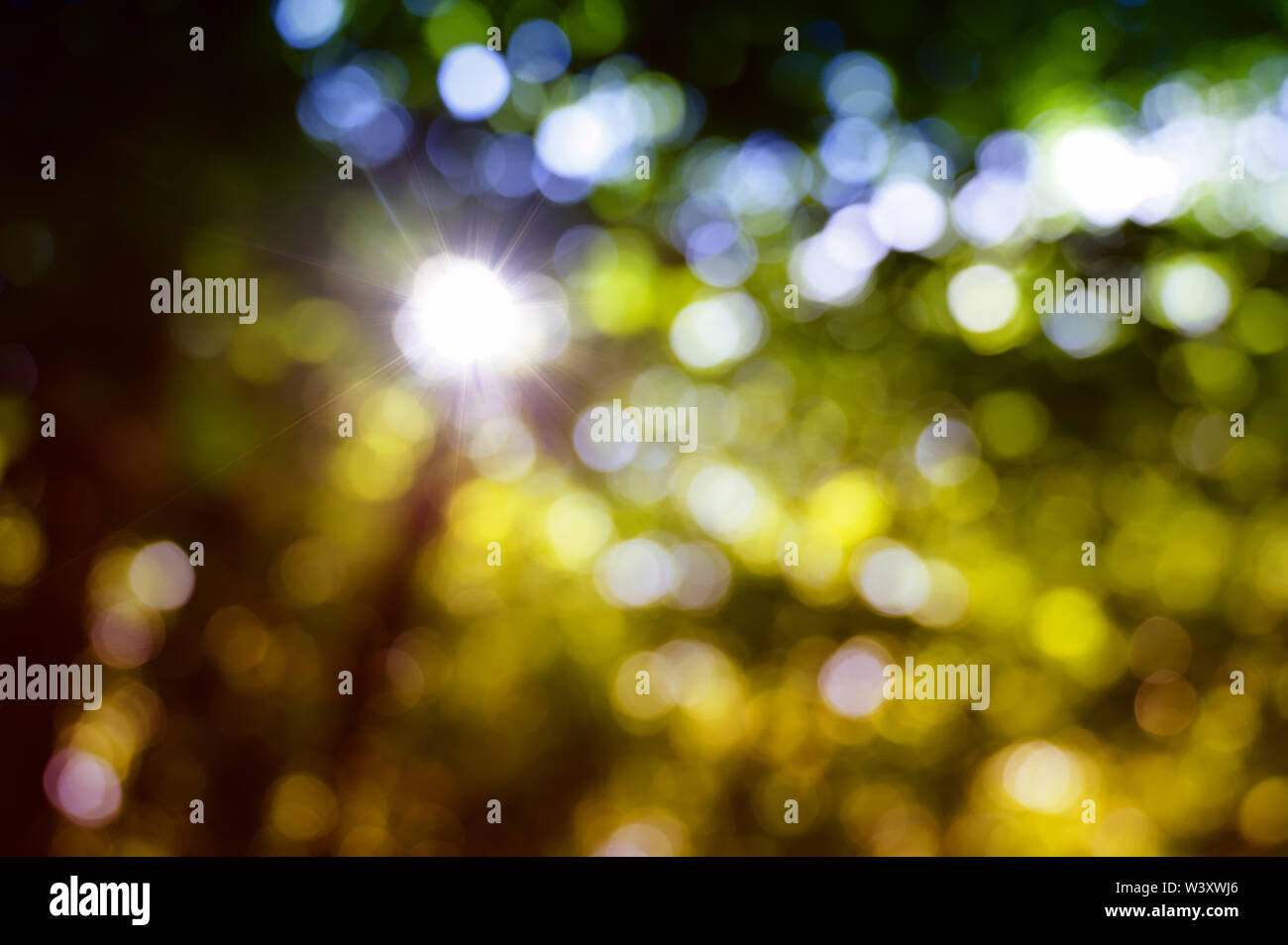 Light Color Background High Resolution Stock Photography and Images - Alamy