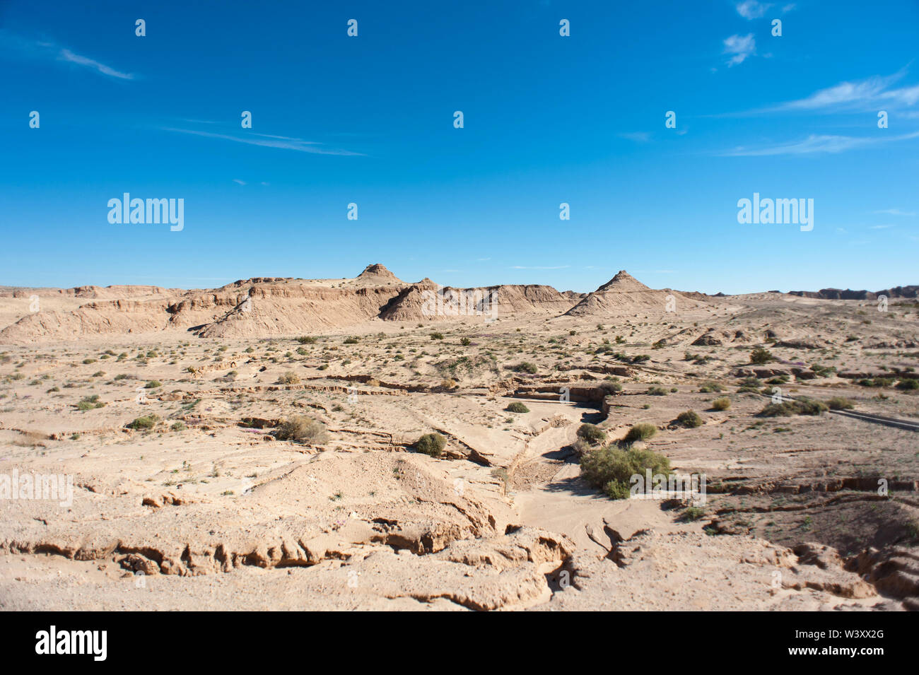 Sonora mexico hi-res stock photography and images - Alamy
