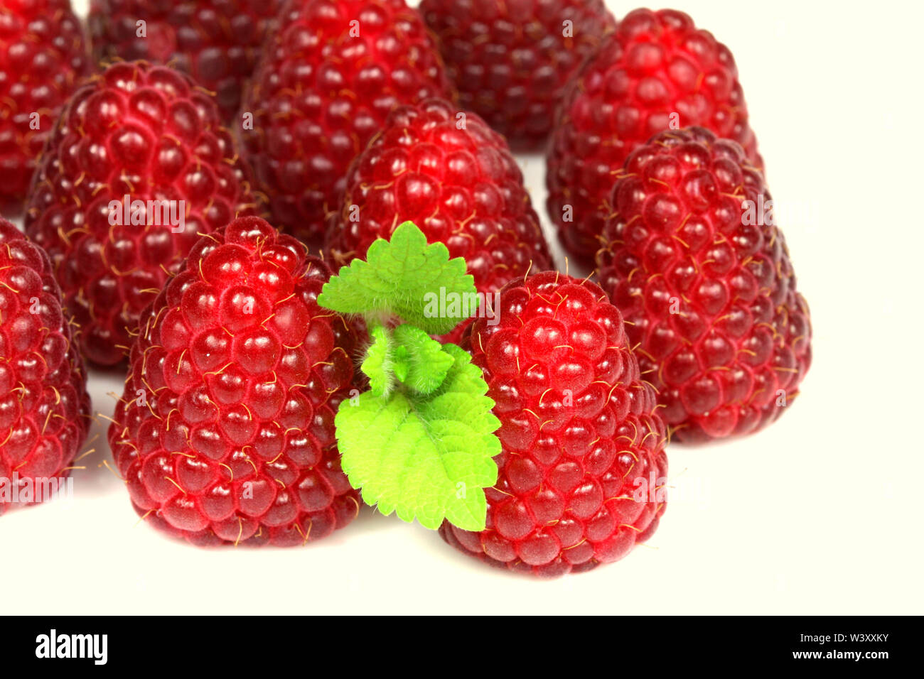 Isolated raspberry fruits with lemon balm Stock Photo - Alamy