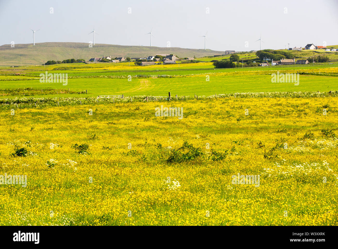 Orkney wind turbines hi-res stock photography and images - Alamy