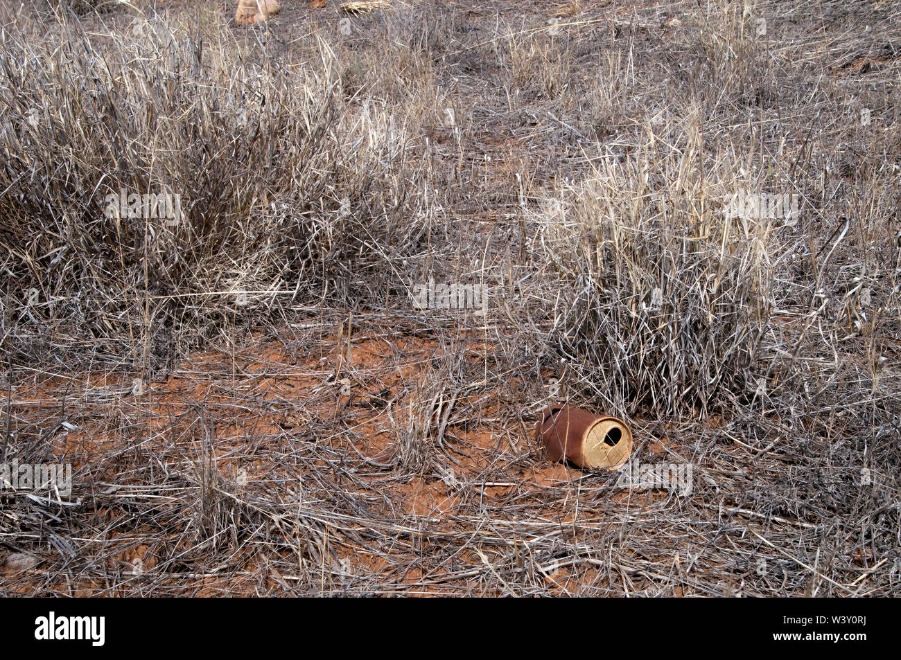 Kamarah Australia, discarded drink can rusting in grass Stock Photo - Alamy