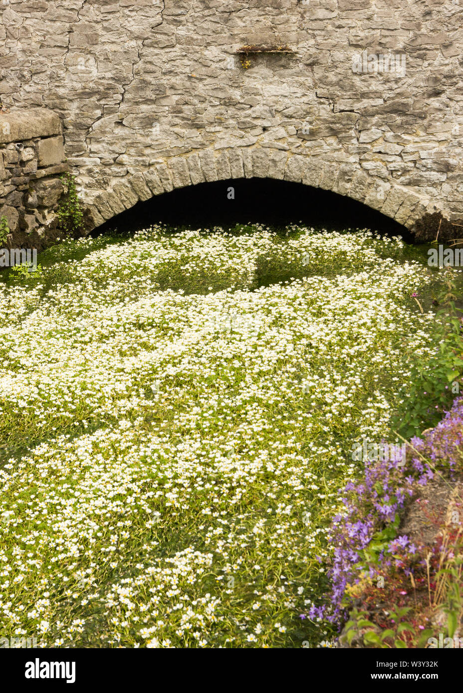 Bridge over stream by the old pump house in the village of Bradwell in ...