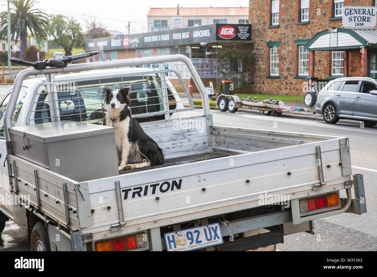 Triton ute hi-res stock photography and images - Alamy
