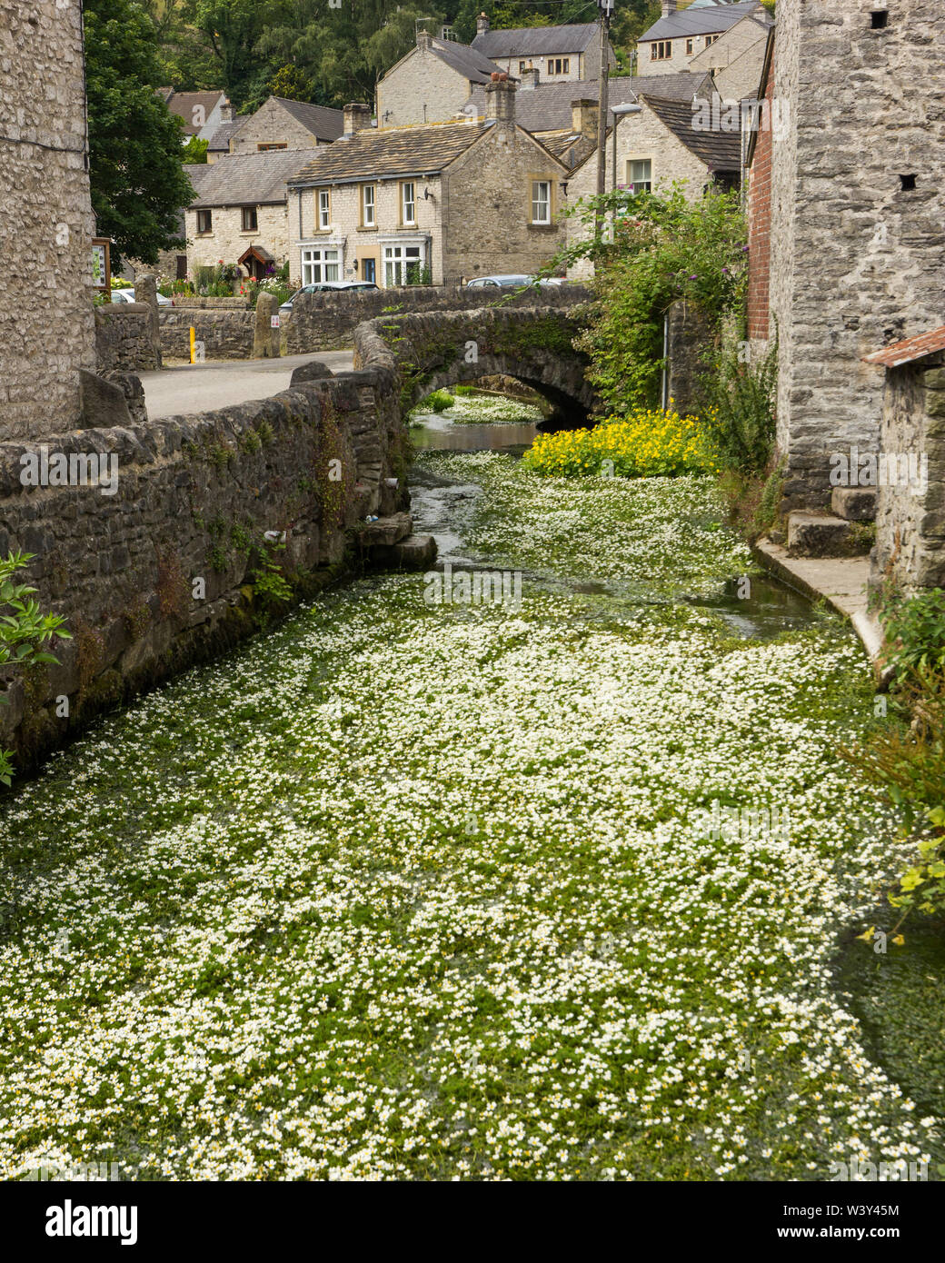 Crow foot bridge hi-res stock photography and images - Alamy