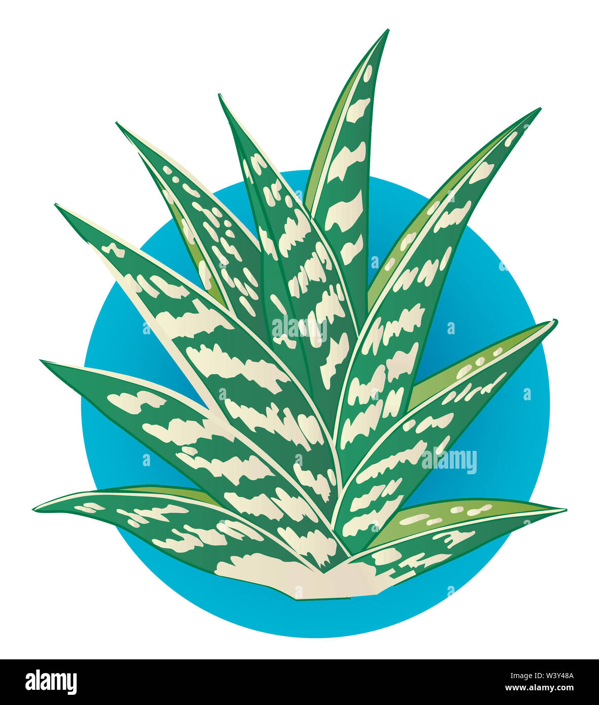 Graphic Illustration of an Aloe Vera plant with a blue sphere in back ...