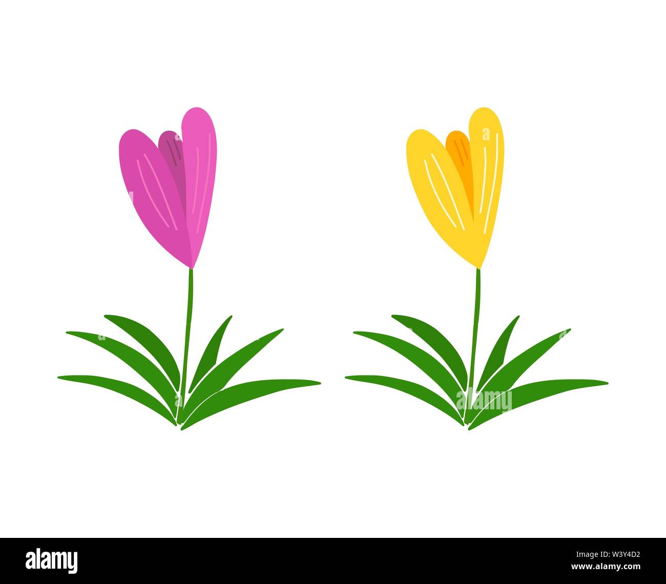 Two crocus flowers icons. First signs of spring .Vector illustration ...