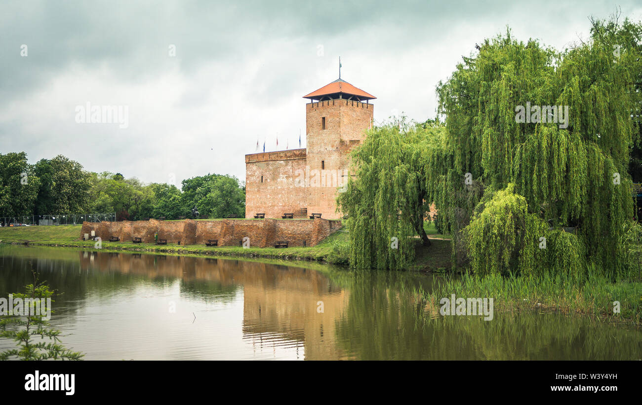 The Medieval Gyula Castle and Bastion Stock Photo - Alamy