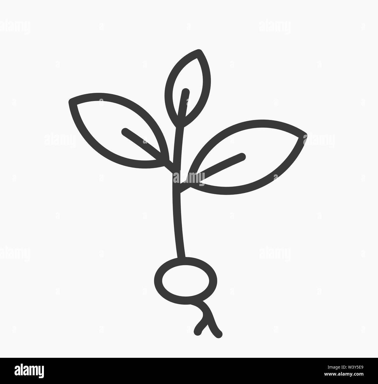 Seed germinating Black and White Stock Photos & Images - Alamy