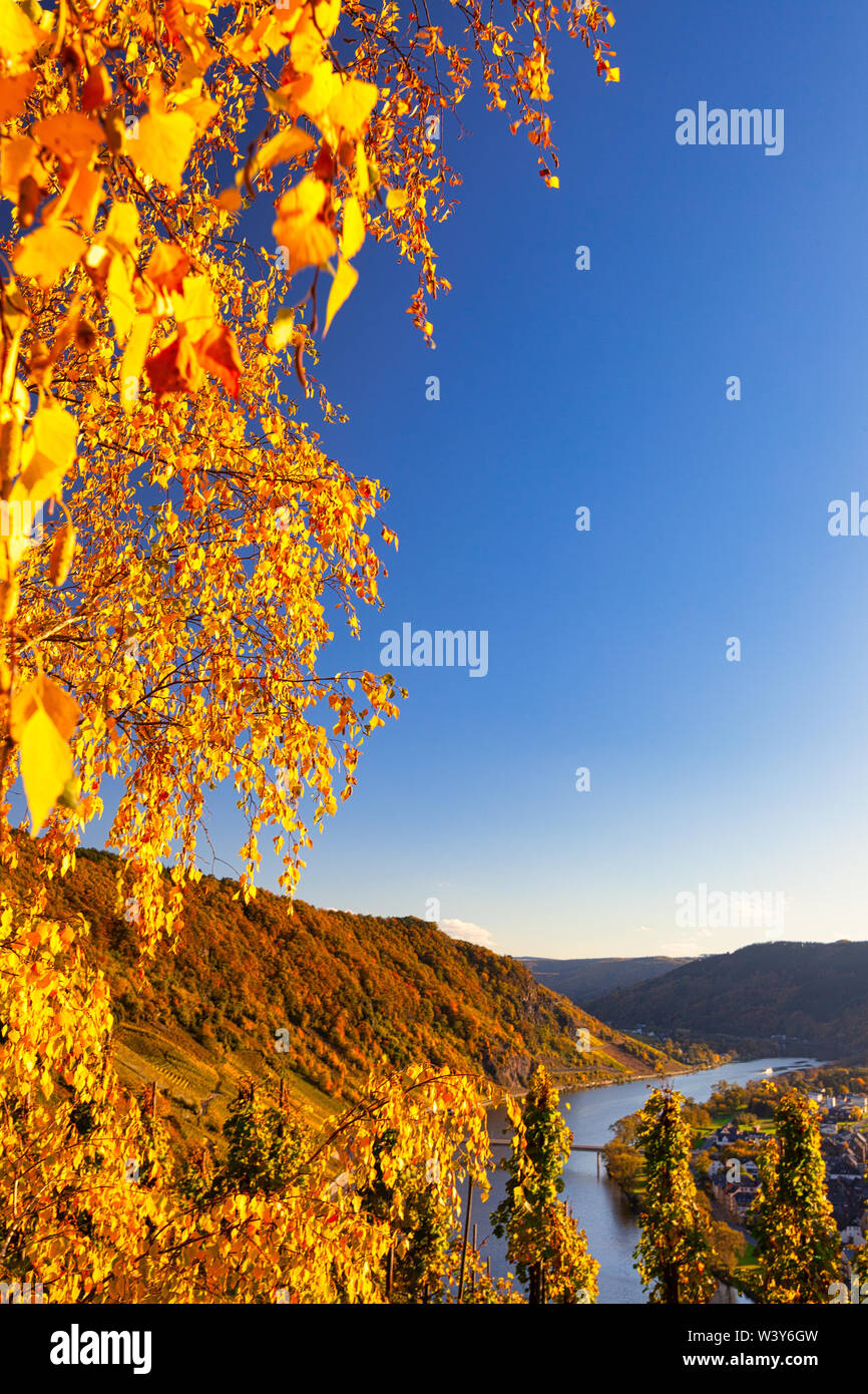 Autumn landscape of the Moselle river valley in Germany on a beautiful ...
