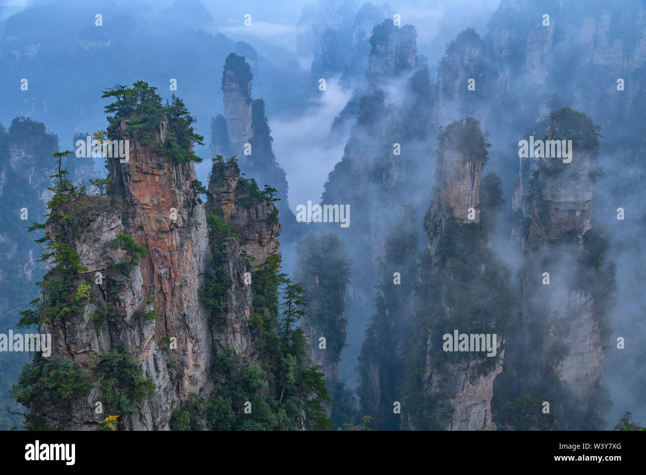 Asia, China, Hunan Province, UNESCO, Wulingyuan, Wuling Mountain Stock ...