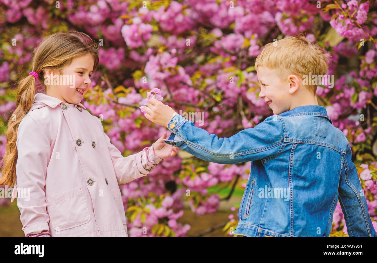 Giving all flowers to her. Surprising her. Kids enjoying pink cherry ...