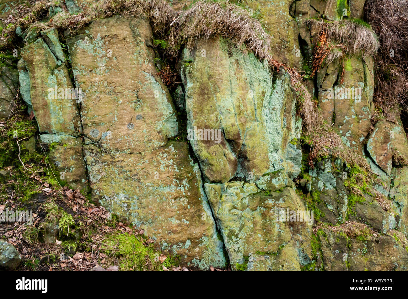 Close-up of gritstone boulders with vertical jointing at Gardom's Edge ...