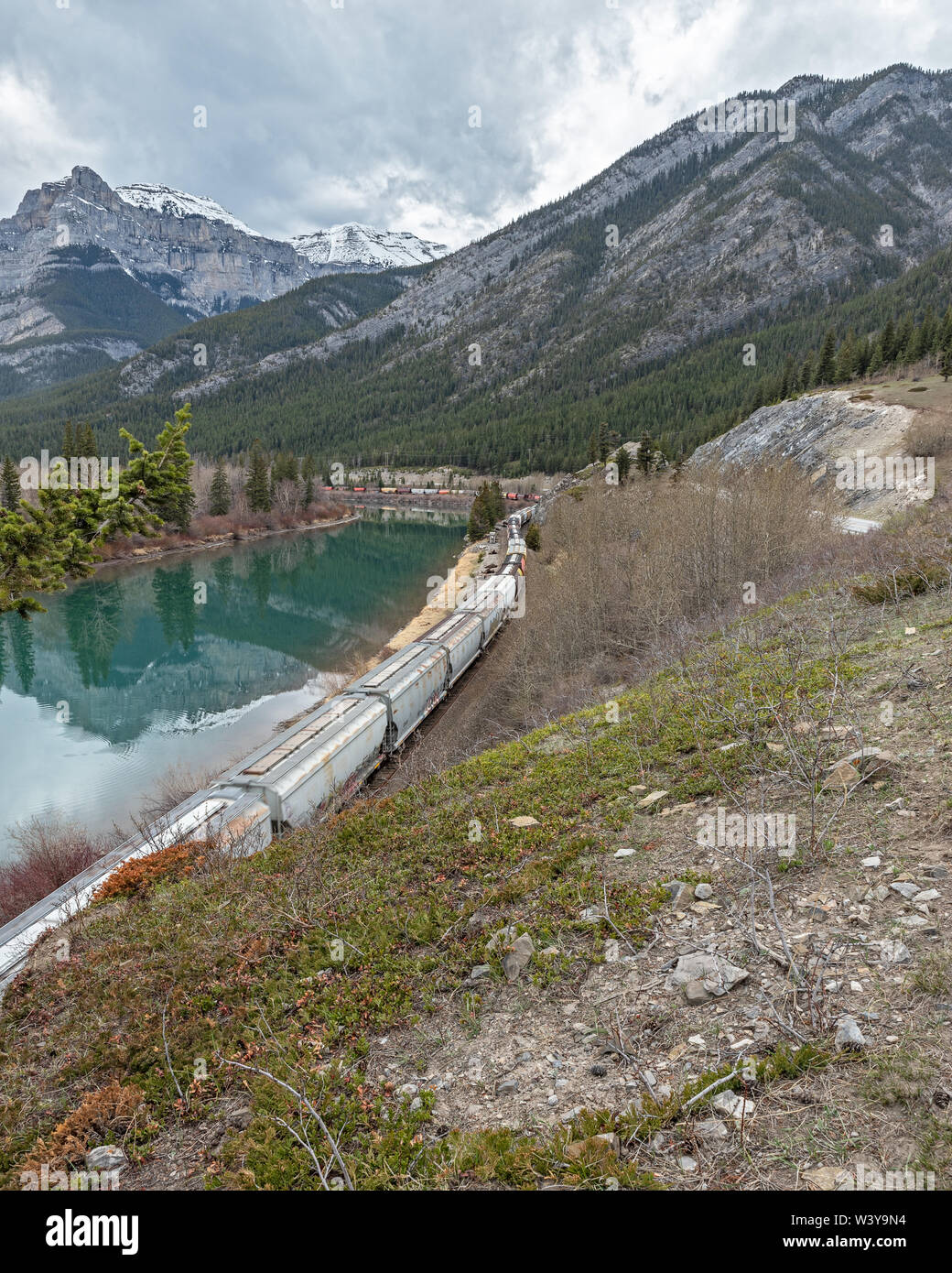 Aerial View of a Freight Train beside the Bow River at Exshaw, Alberta ...