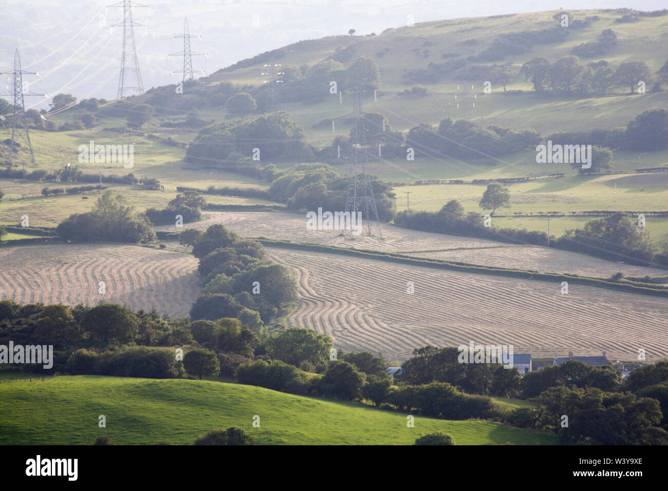 Tree hedges and field boundaries in the Conwy Valley near the village ...