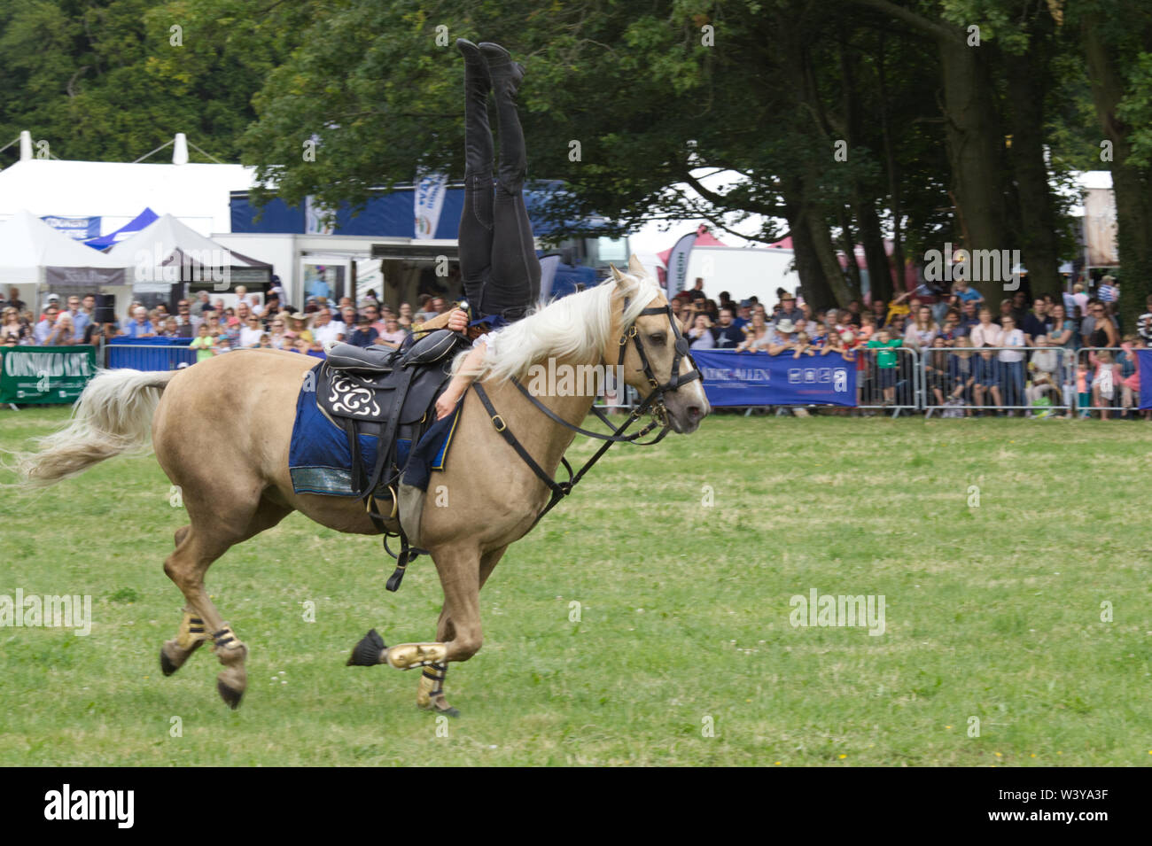 stunt horse and rider Stock Photo - Alamy