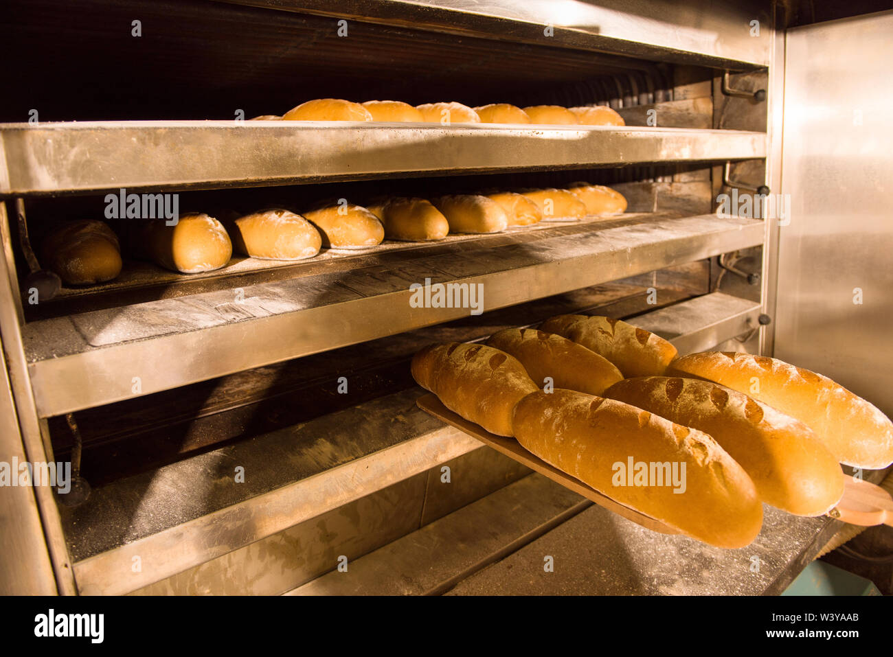 Bread bakery food factory production with fresh products Baked bread in ...
