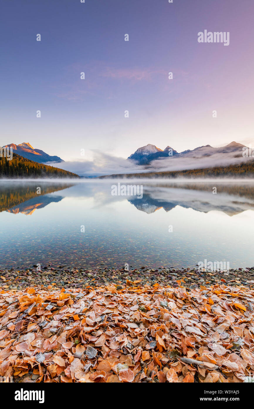 Autumn at Bowman Lake, Glacier National Park, Montana, USA Stock Photo ...