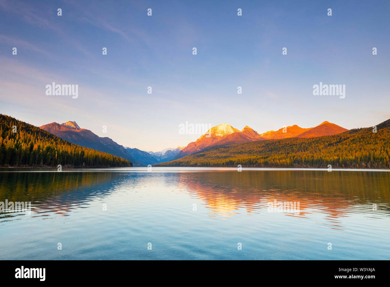 Autumn at Bowman Lake, Glacier National Park, Montana, USA Stock Photo ...