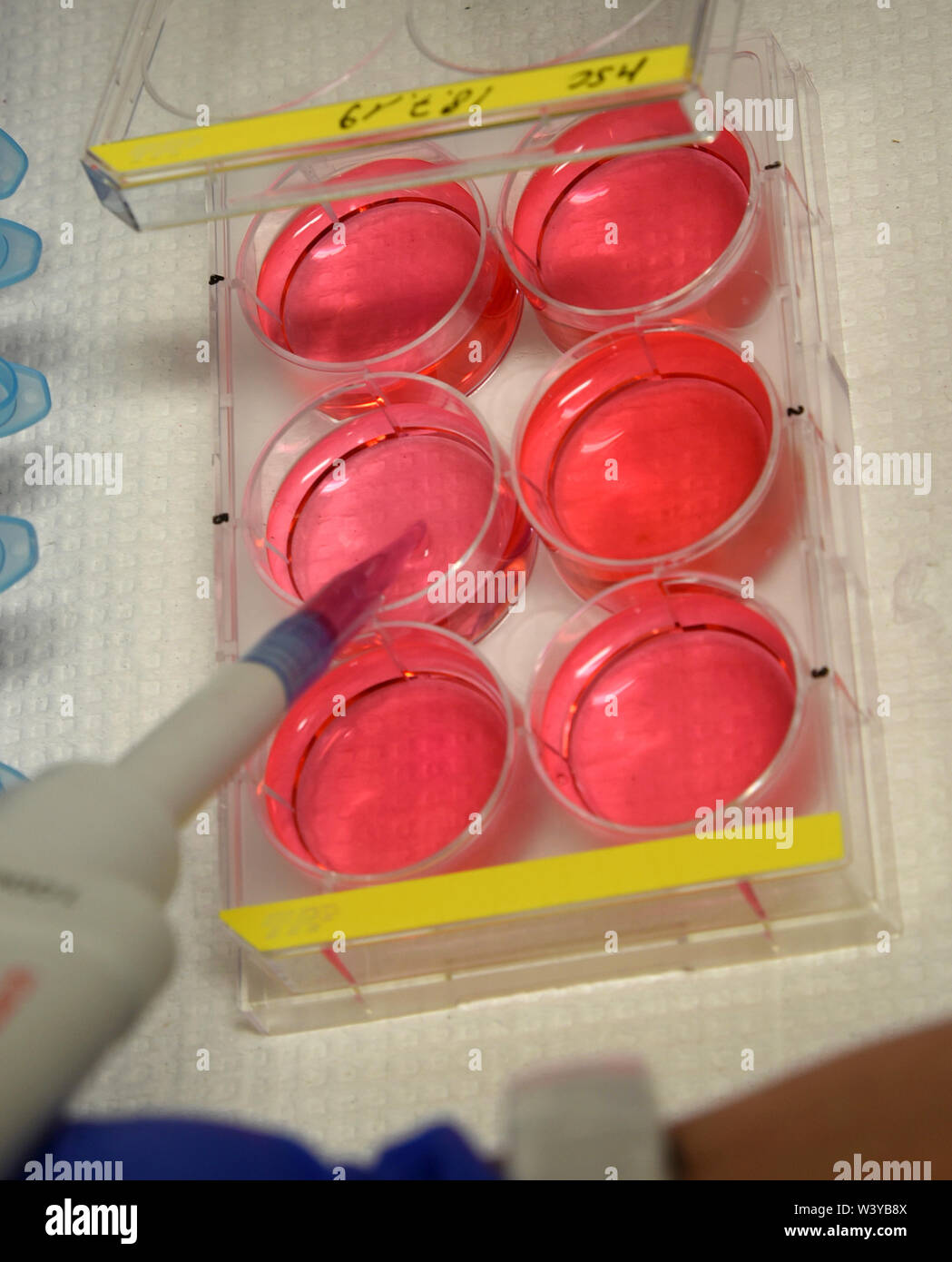 Biochemical tests hi-res stock photography and images - Alamy