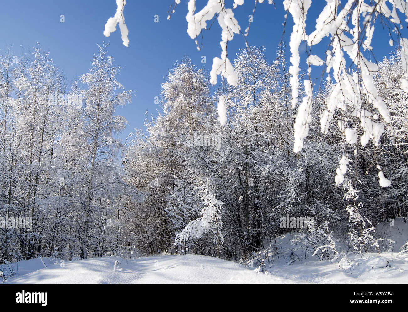 Season frost hi-res stock photography and images - Alamy