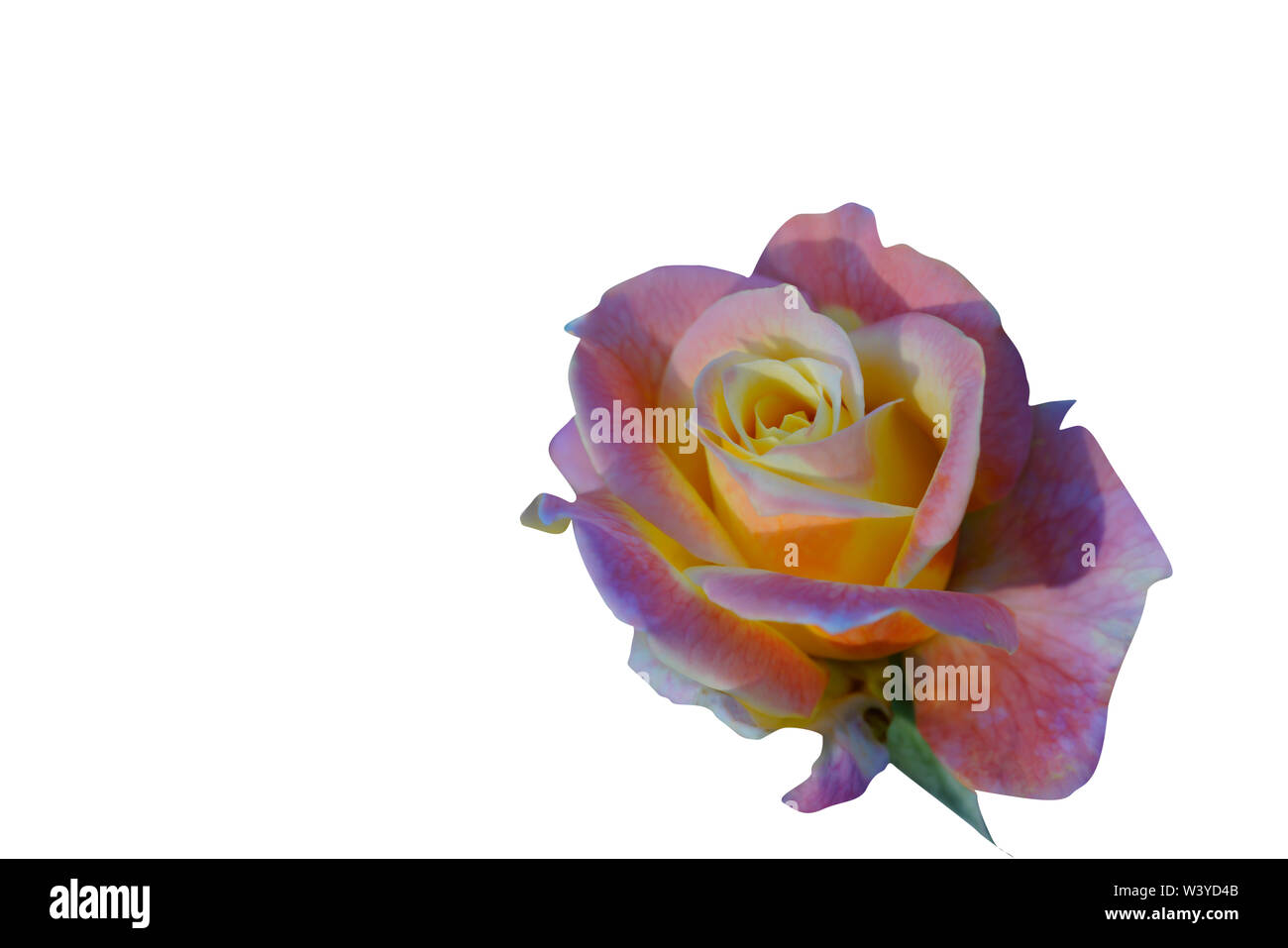 Pattern cutting illustration Cut Out Stock Images & Pictures - Alamy