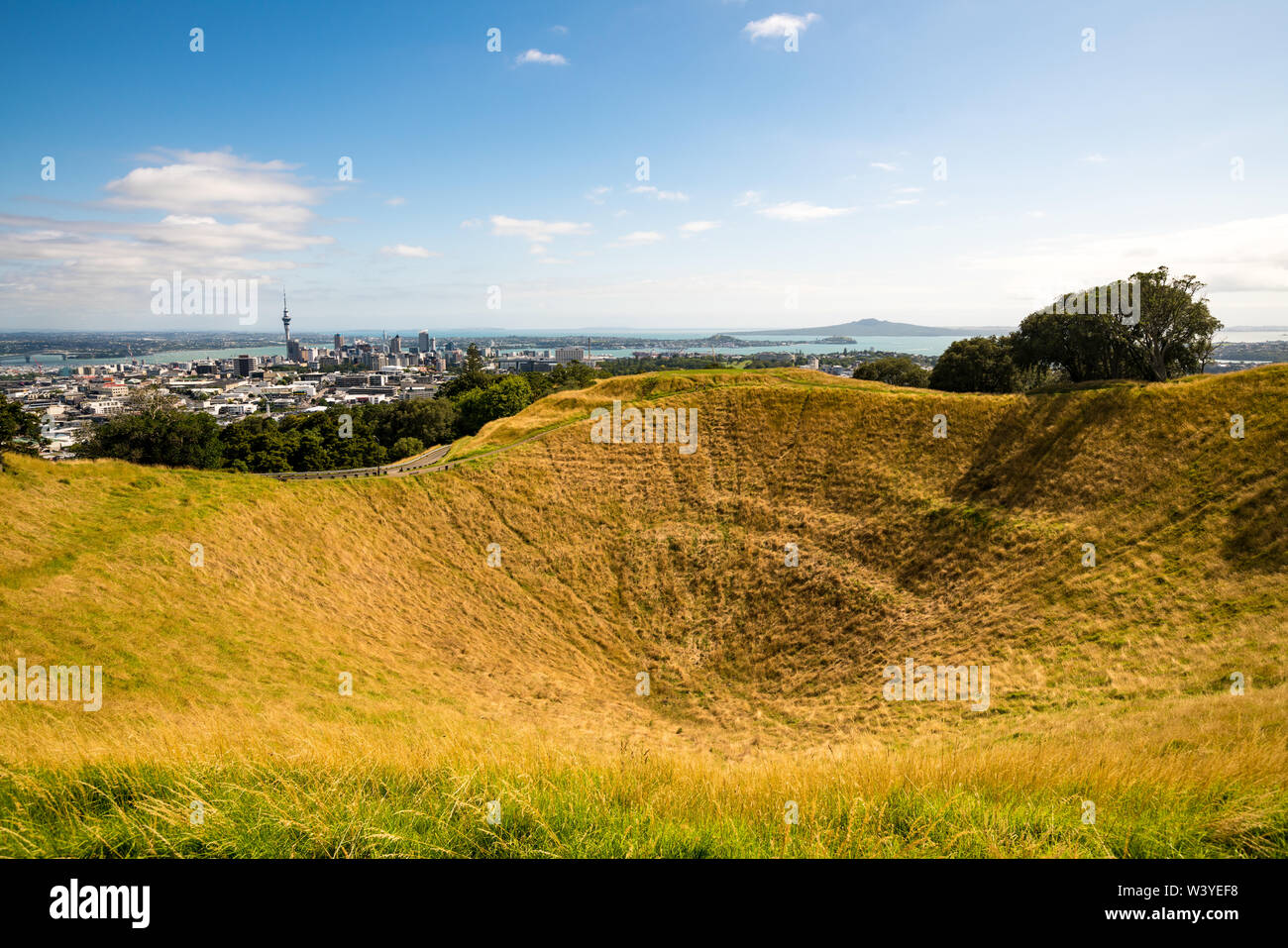 Maori art auckland hi-res stock photography and images - Alamy
