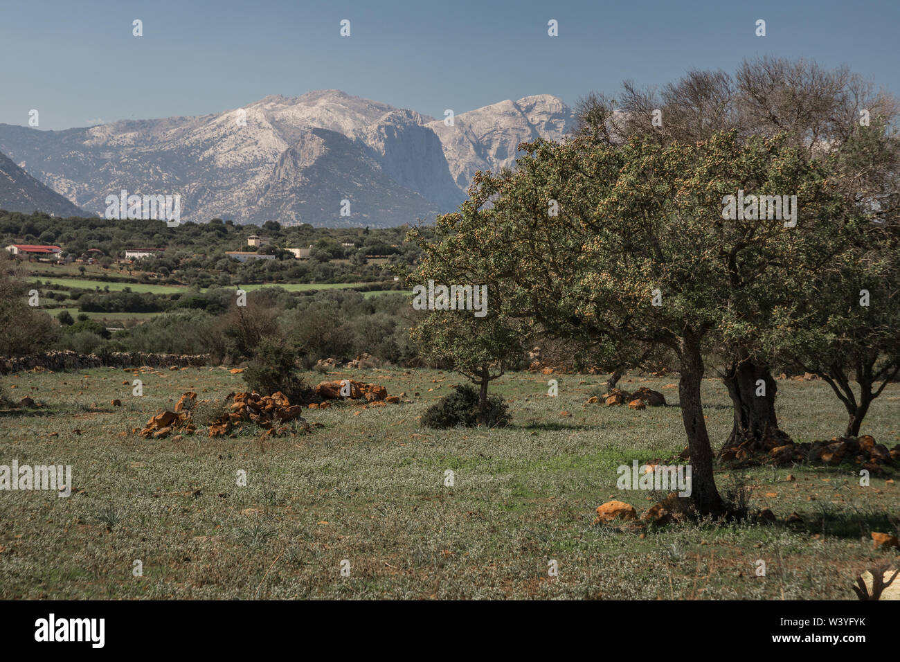 Countryside of Sardinia Island, Italy Stock Photo - Alamy