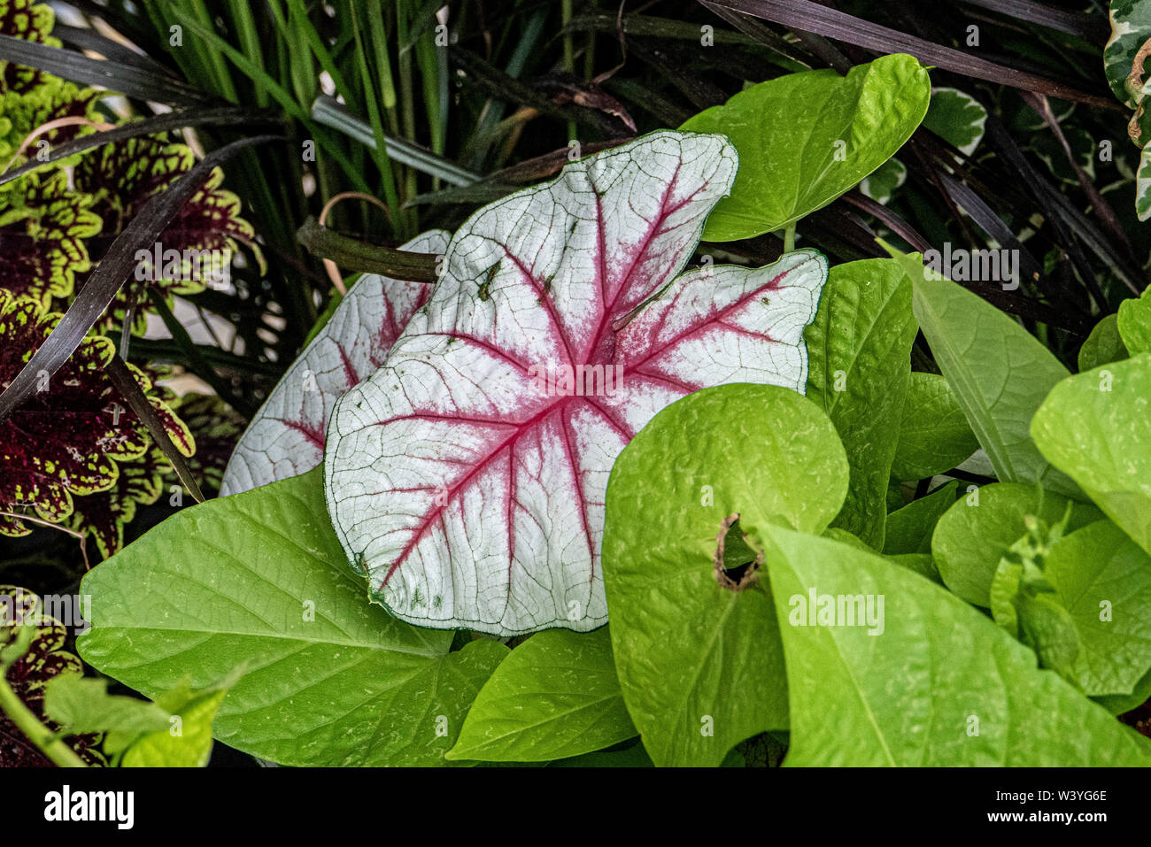 Red markings hi-res stock photography and images - Alamy