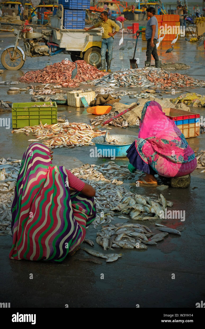 Gujarat port hi-res stock photography and images - Alamy